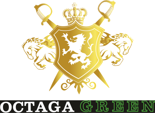 Octaga Green Power & Sugar Company from India - Winners of London ...