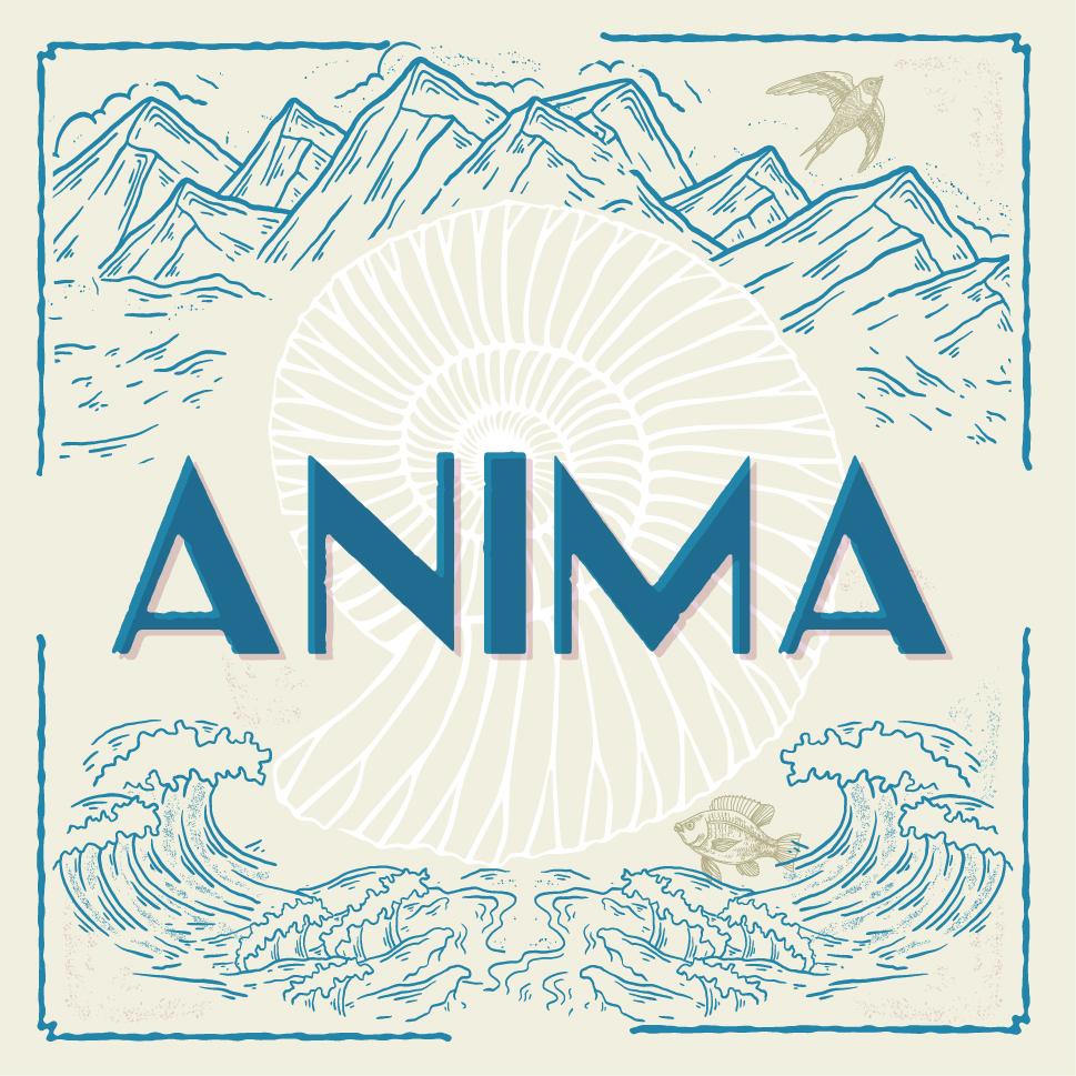 Anima from Argentina - Winners of London Spirits Competition