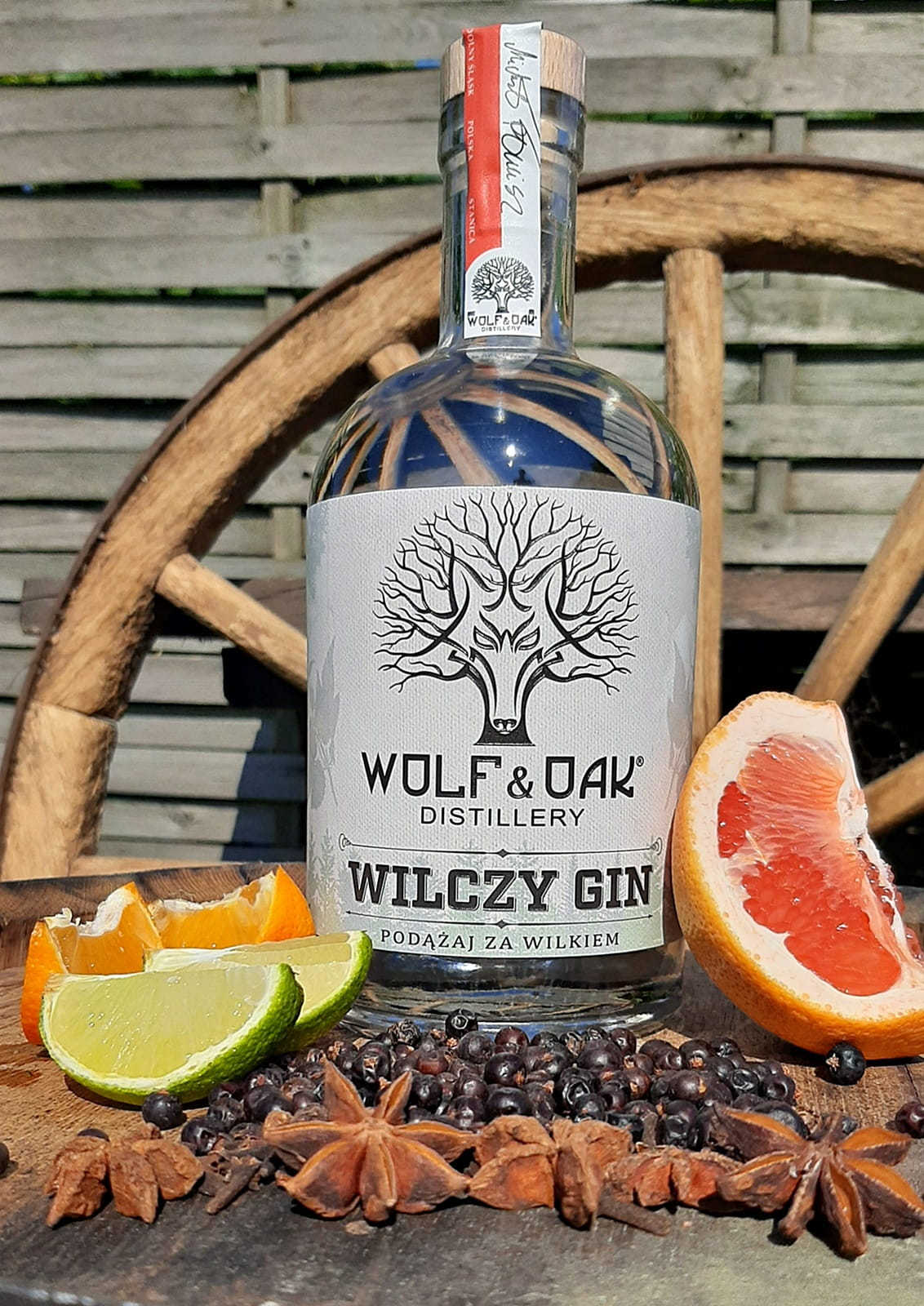 Wilczy Gin from Poland - Winner of Bronze medal at the London Spirits ...