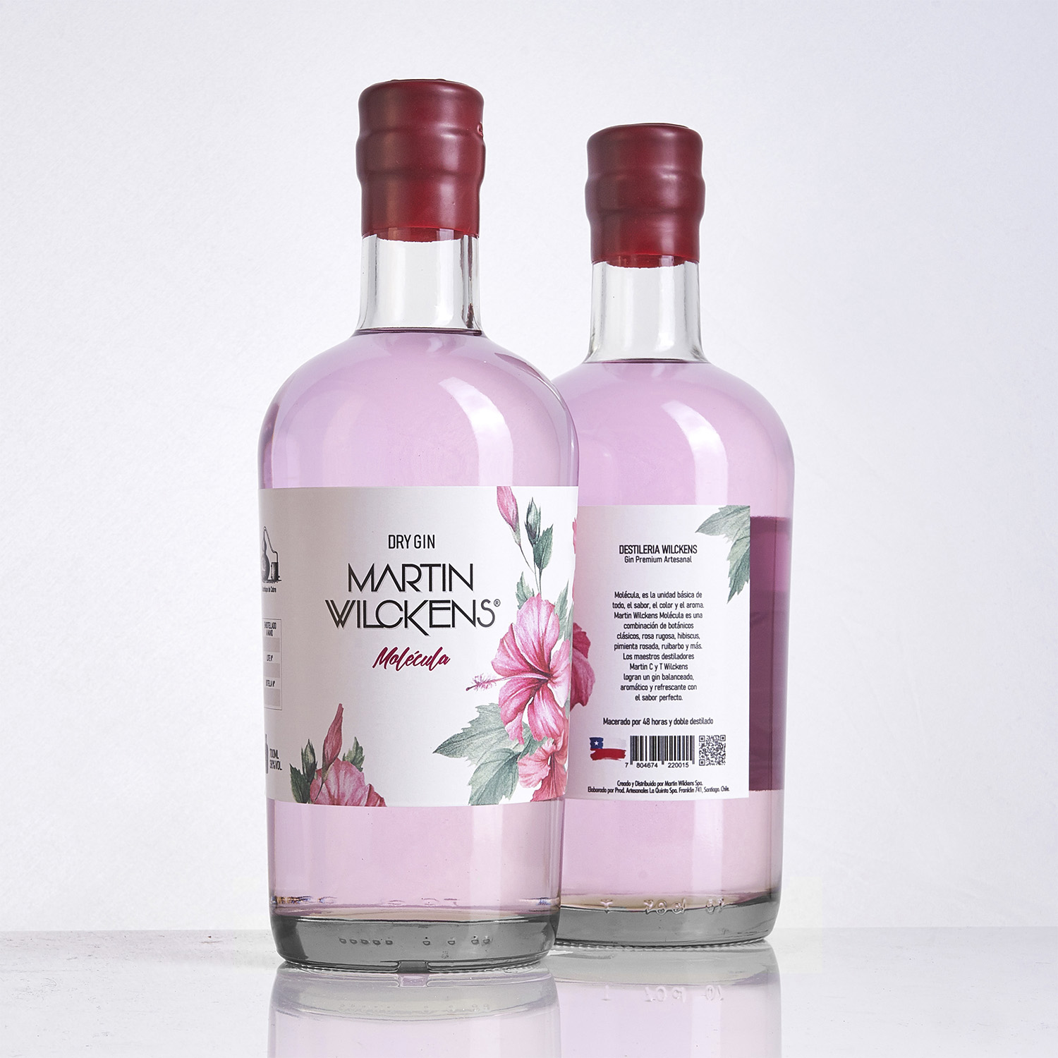 GIN MARTIN WILCKENS MOLECULA from Chile - Winner of Bronze medal at the ...